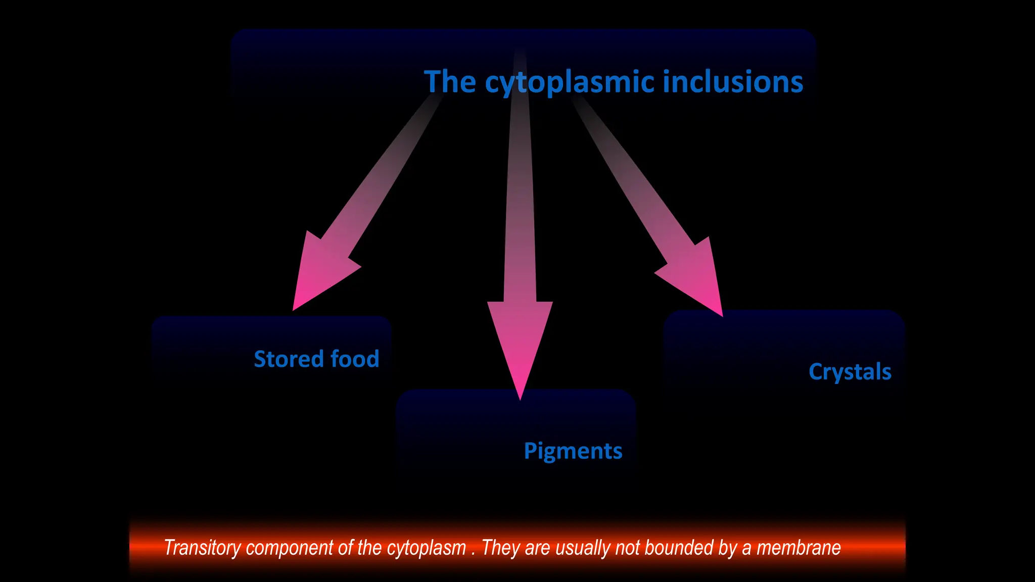 Cytoskeleton Inclusion.pptx