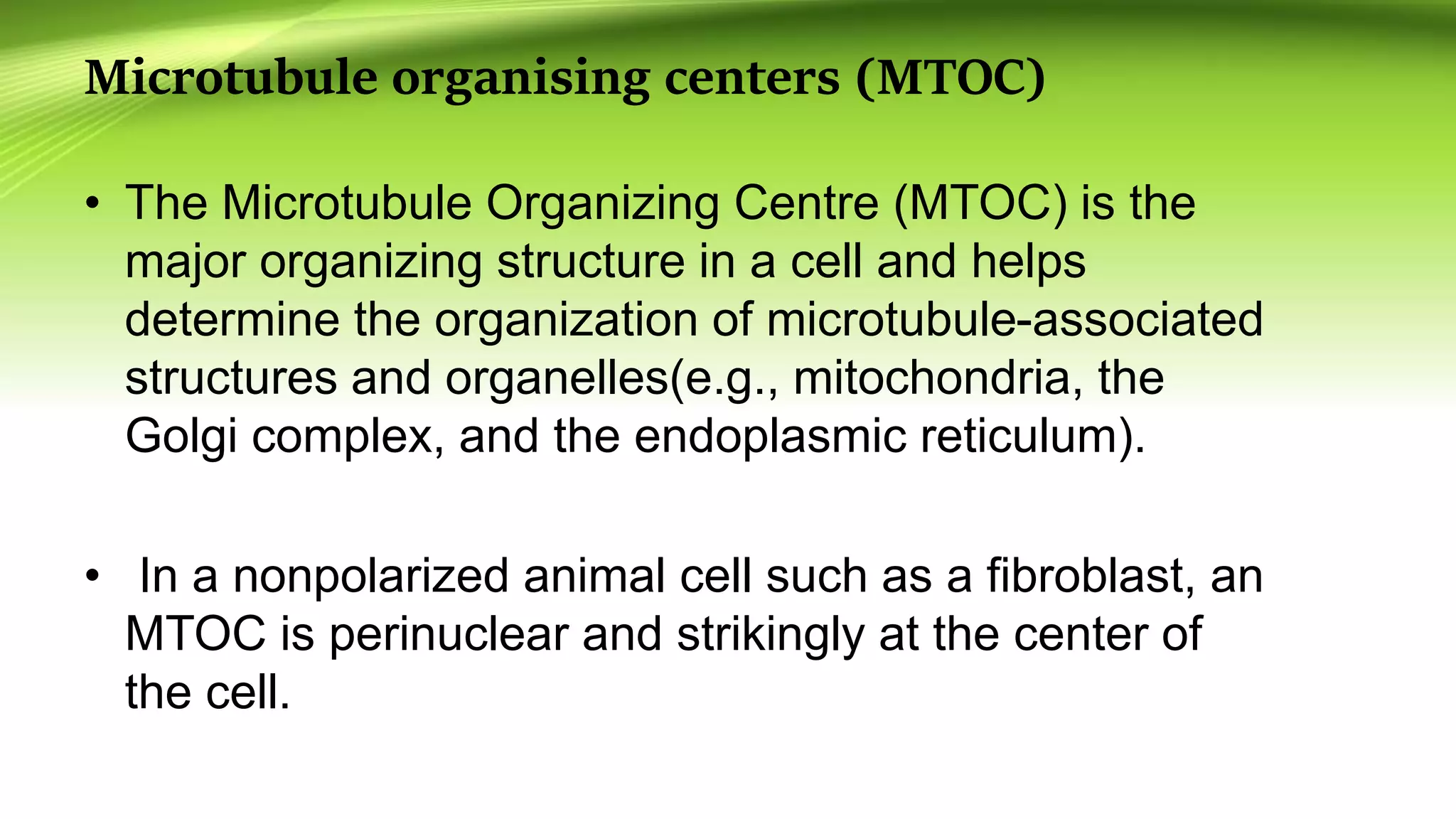 Cytoskeleton Ppt