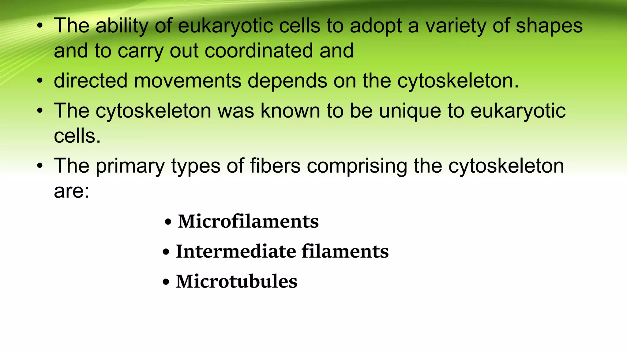 Cytoskeleton | PPT