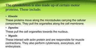 Cytoskeleton | PPT
