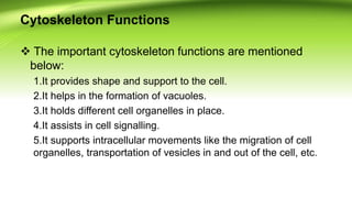 Cytoskeleton | PPT