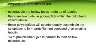 Cytoskeleton | PPT