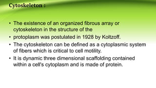 Cytoskeleton | PPTX