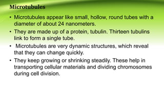 Cytoskeleton | PPTX