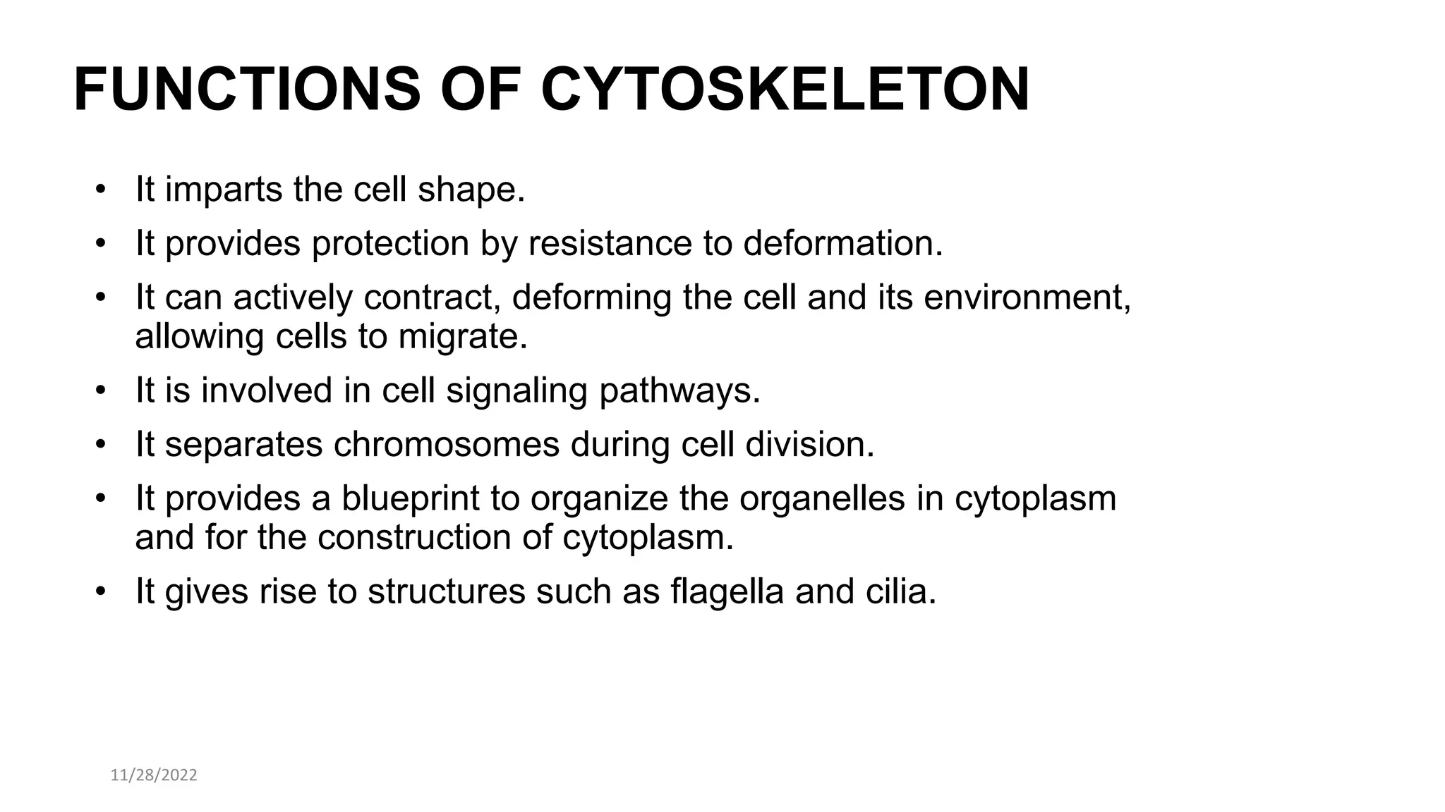 CYTOSKELETON presentation by (Aneeq) (1).pptx