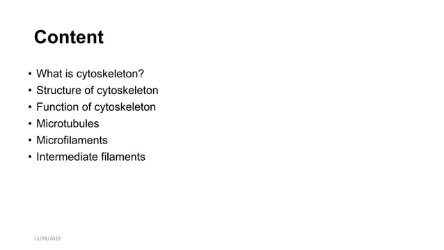 CYTOSKELETON presentation by (Aneeq) (1).pptx