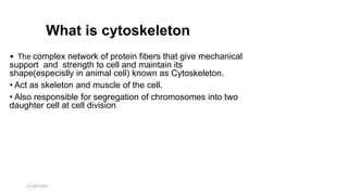 CYTOSKELETON presentation by (Aneeq) (1).pptx