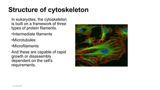 CYTOSKELETON presentation by (Aneeq) (1).pptx