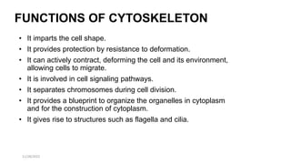 CYTOSKELETON presentation by (Aneeq) (1).pptx