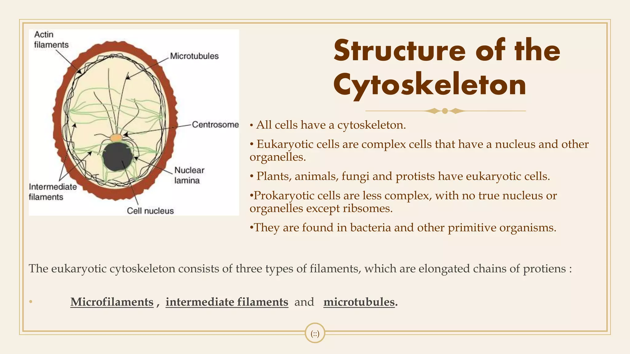 Cytoskeleton structure. Microfilaments, microtubules and intermediate filaments. | PPTX