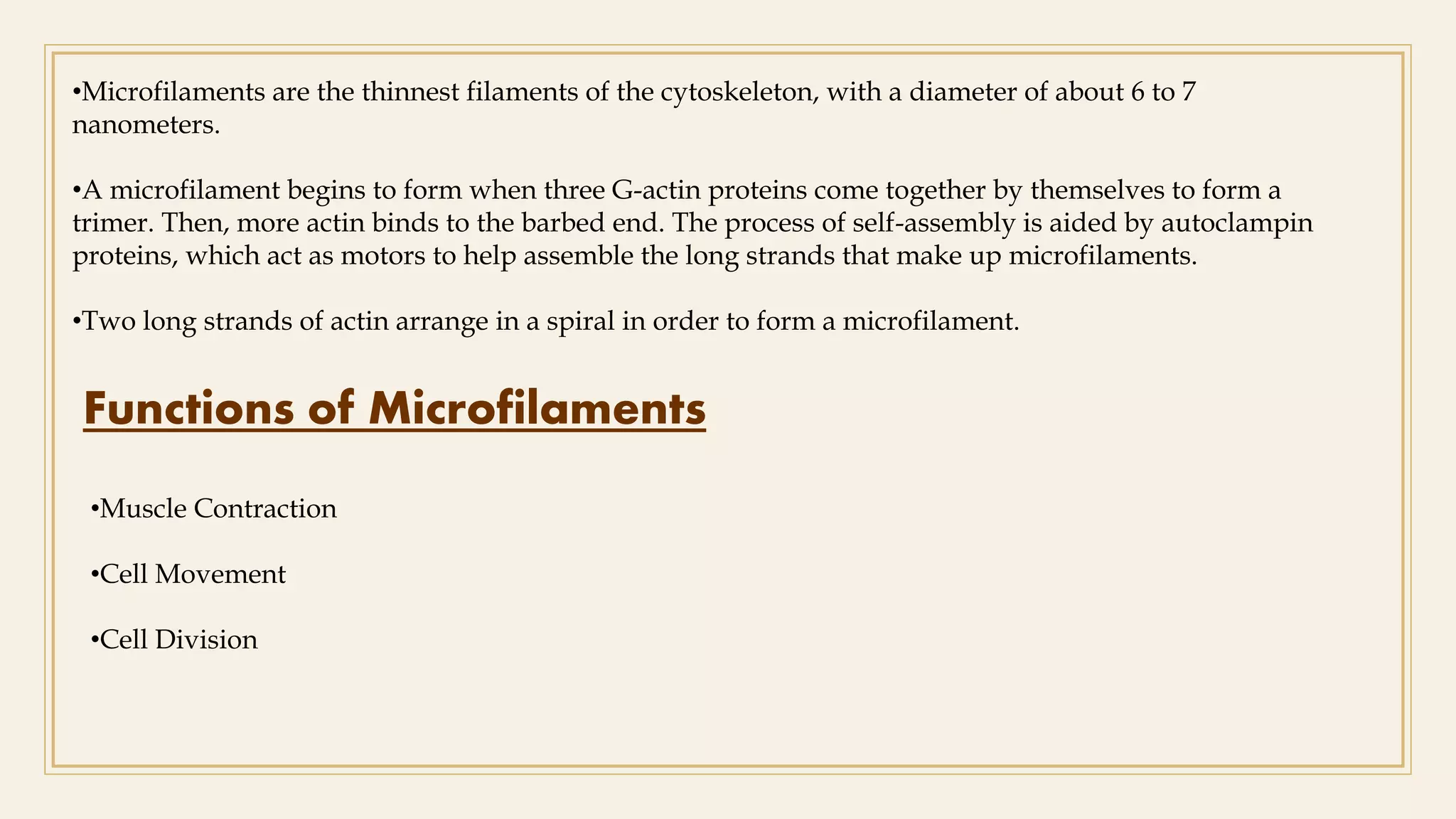Cytoskeleton structure. Microfilaments, microtubules and intermediate filaments. | PPTX