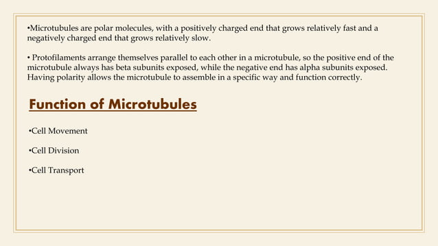 Cytoskeleton structure. Microfilaments, microtubules and intermediate ...