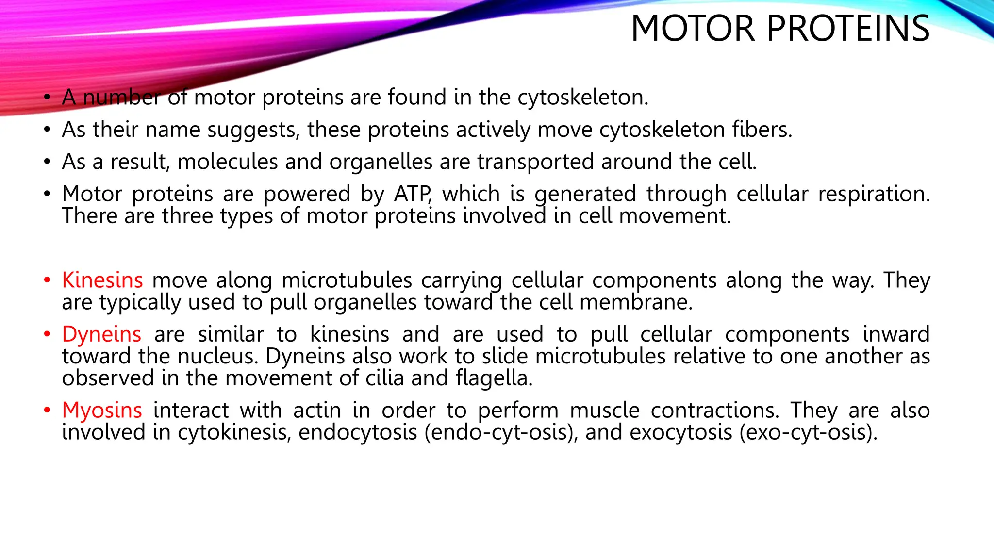 CYTOSKELETON STRUCTURE.ppt