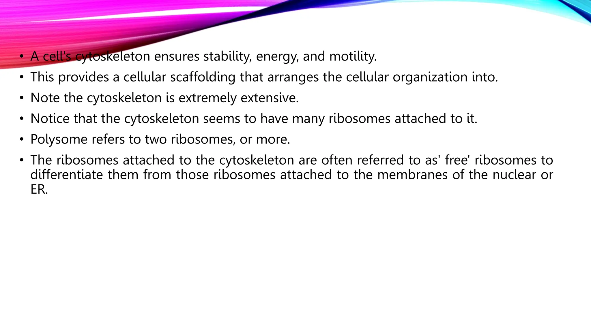 CYTOSKELETON STRUCTURE.ppt