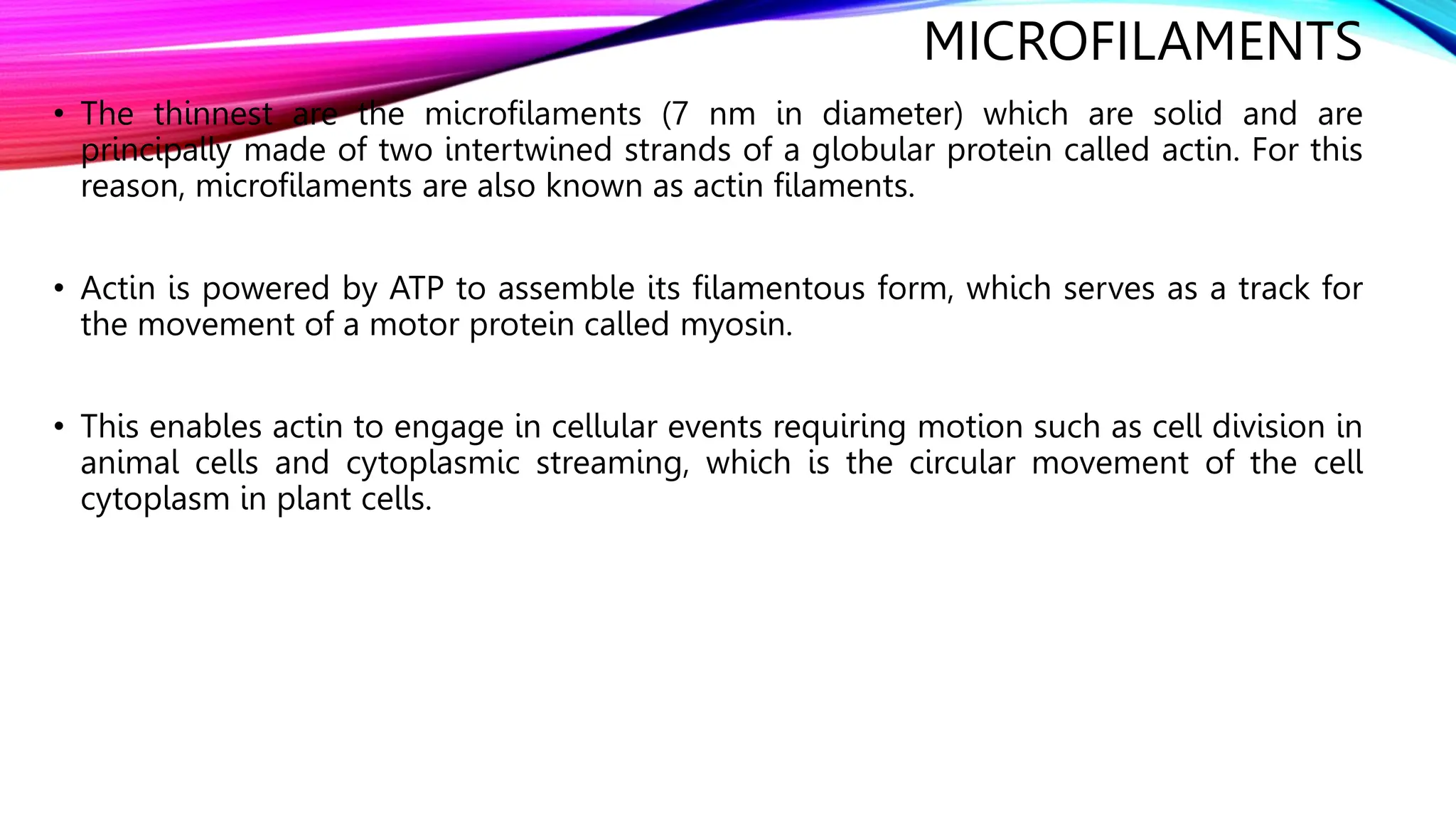 CYTOSKELETON STRUCTURE.ppt