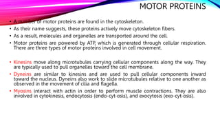 CYTOSKELETON STRUCTURE.ppt