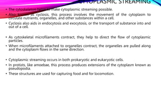 CYTOSKELETON STRUCTURE.ppt