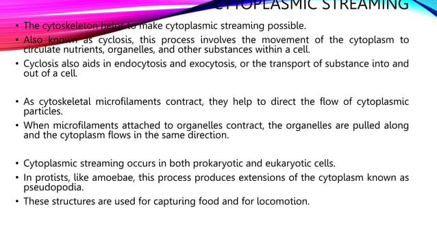 Cytoskeleton Structure Ppt Biological Sciences Science