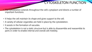 CYTOSKELETON STRUCTURE.ppt