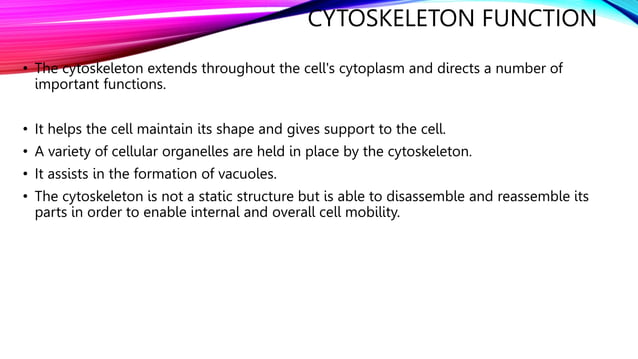 CYTOSKELETON STRUCTURE.ppt | Biological Sciences | Science