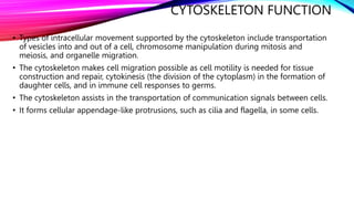 CYTOSKELETON STRUCTURE.ppt