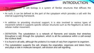 CYTOSKELETON STRUCTURE.ppt