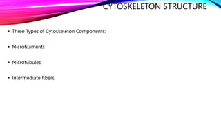 CYTOSKELETON STRUCTURE.ppt