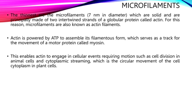 Cytoskeleton Structure Ppt Biological Sciences Science