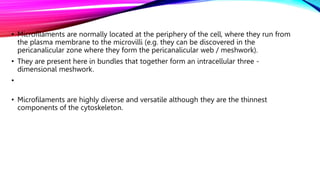 CYTOSKELETON STRUCTURE.ppt