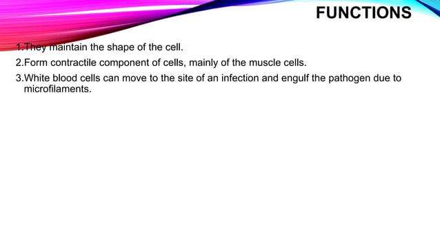 Cytoskeleton Structure Ppt Biological Sciences Science