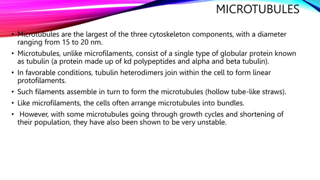 Cytoskeleton Structure Ppt Biological Sciences Science