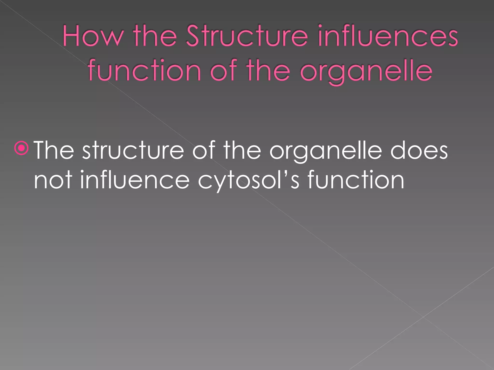 Cytosol (cytoplasm) | PPT