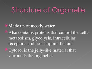 Cytosol (cytoplasm) | PPT | Biological Sciences | Science