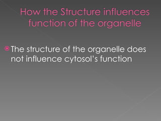 Cytosol (cytoplasm) | PPT