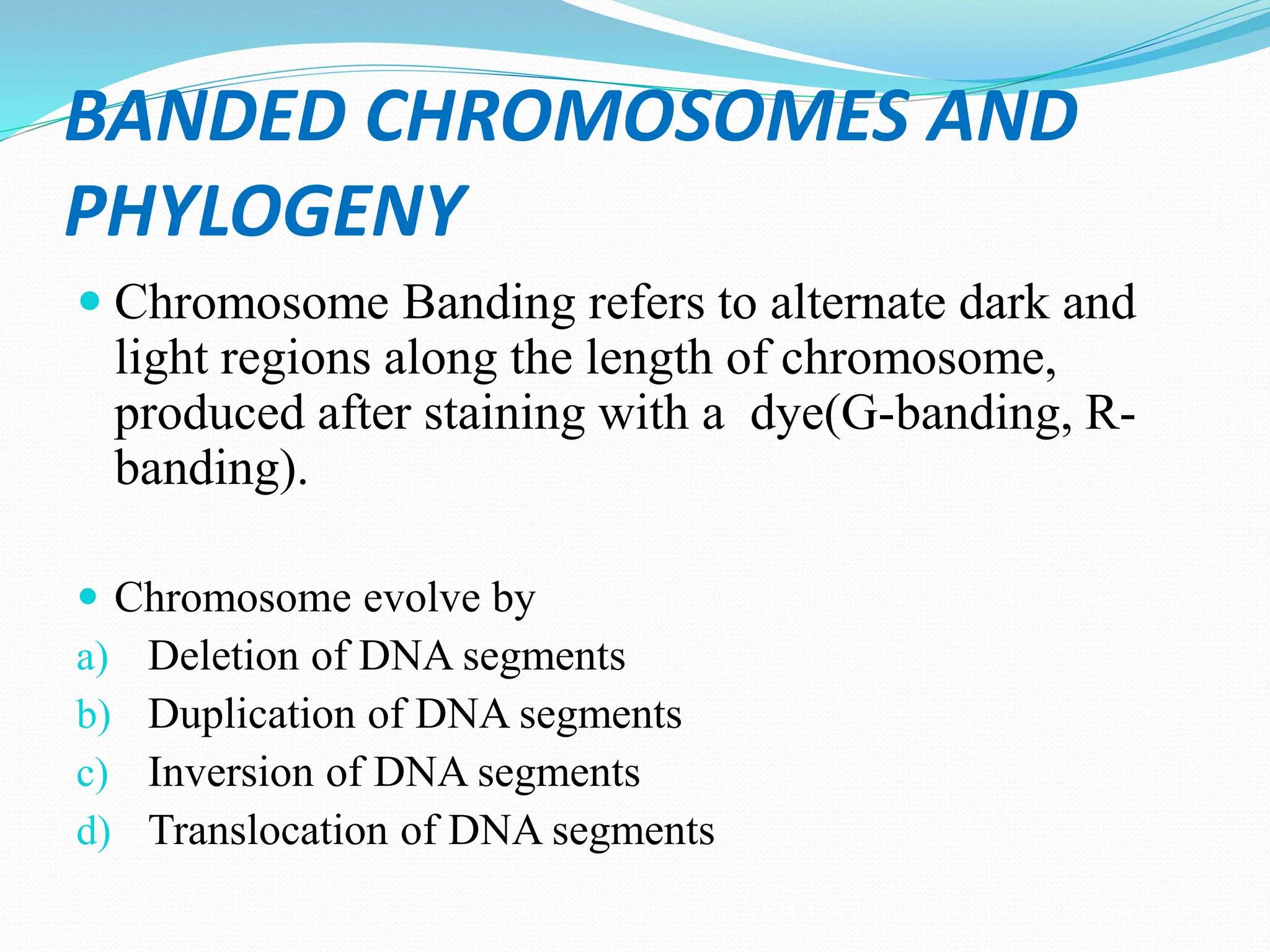 Cytotaxonomy(Its History,Background, Chromosome Evolution in Primates.pptx