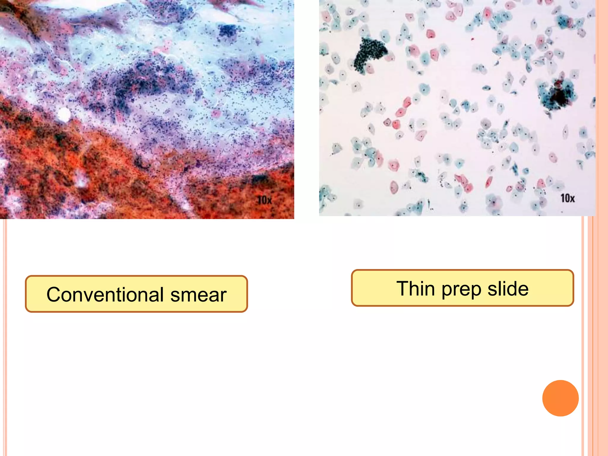 Cytotechniques | PPTX