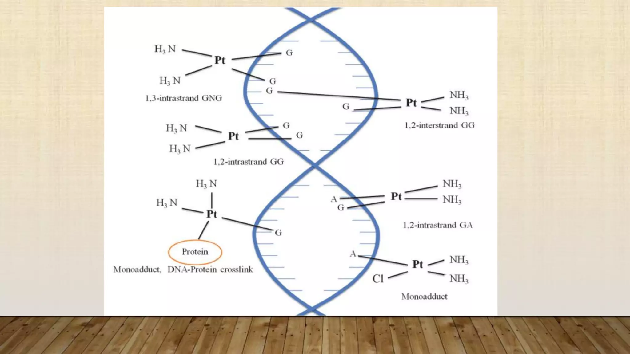 cytotoxic acd.pptx