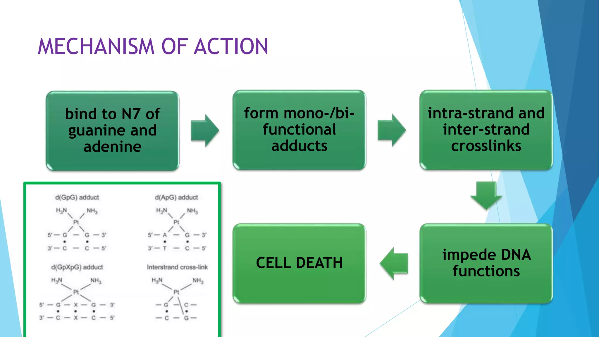 CYTOTOXIC DRUGS - Dr Apurva.pptx