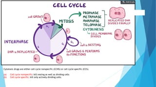 CYTOTOXIC DRUGS - Dr Apurva.pptx