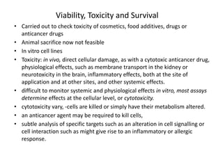 Cytotoxicity in animal cell culture.pptx.pdf