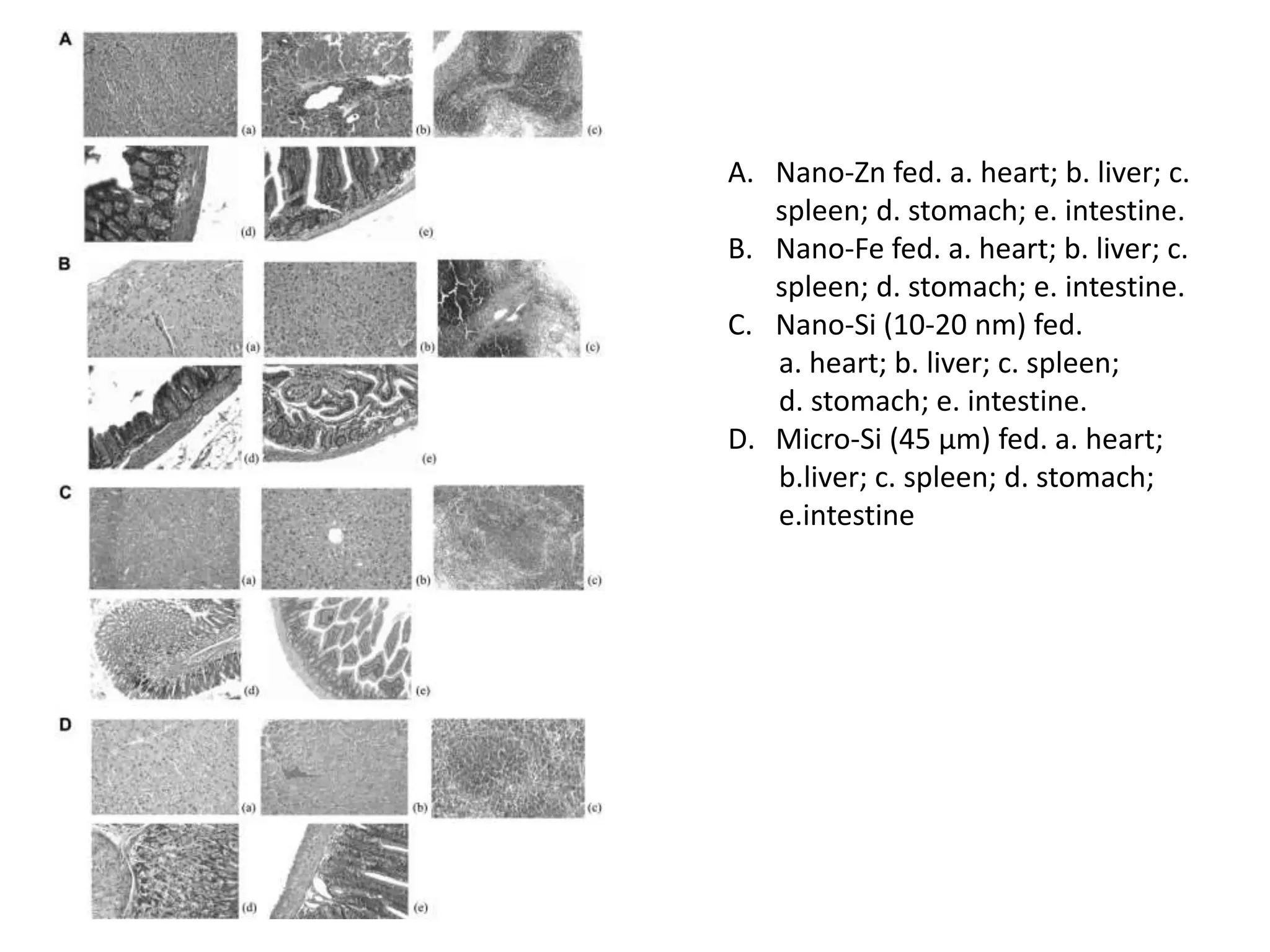 Cytotoxicity and genotoxicity of nanoparticles | PPTX