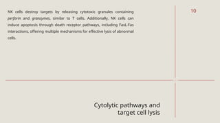 Cytotoxicity Basics cell mediated cytotoxicity mechanism of nk cell and ...