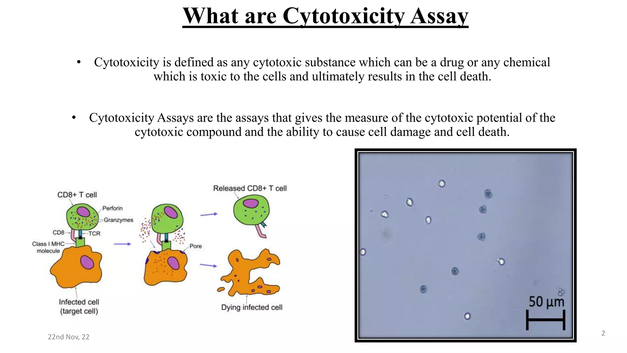 Cytotoxicity Study.pptx