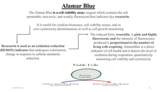 Cytotoxicity Study.pptx