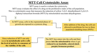 Cytotoxicity Study.pptx