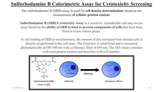 Cytotoxicity Study.pptx