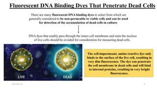 Cytotoxicity Study.pptx