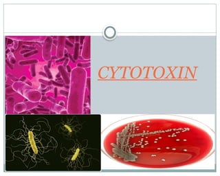 CYTOTOXIN types and occurance and diseases.pptx