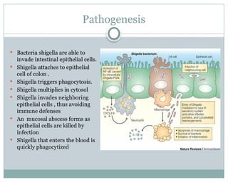 CYTOTOXIN types and occurance and diseases.pptx