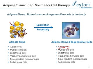 Stem Cell Meeting on the Mesa 2011: CYTX Presentation | PPT